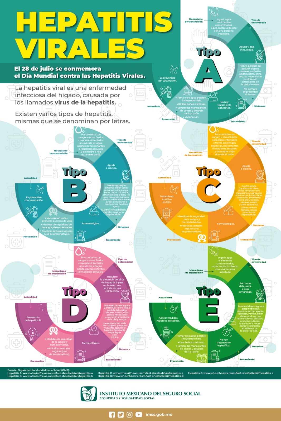 Tipos De Virus De La Hepatitis